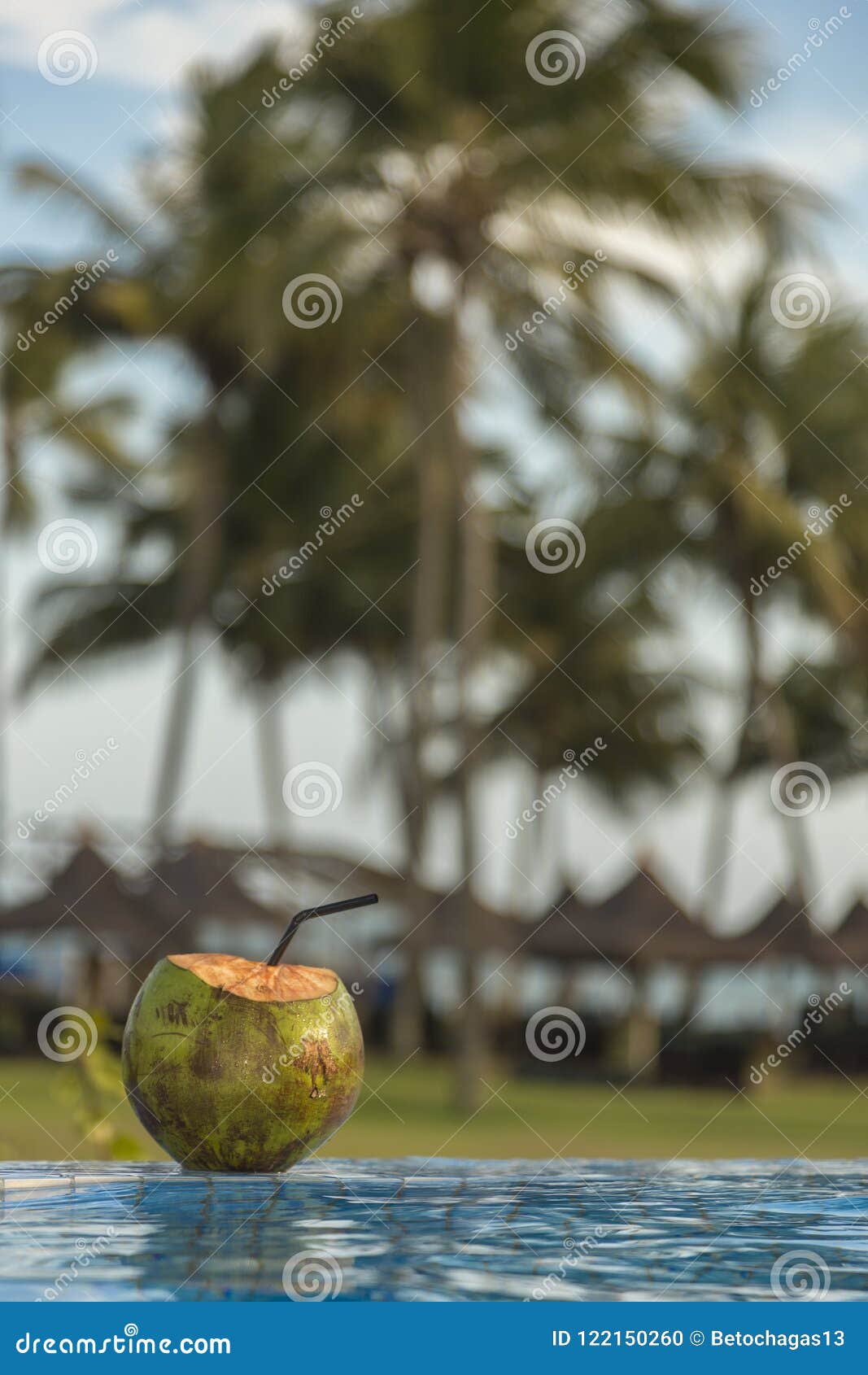 Coconut on the Edge of the Tropical Pool at Sunset. Stock Photo - Image ...
