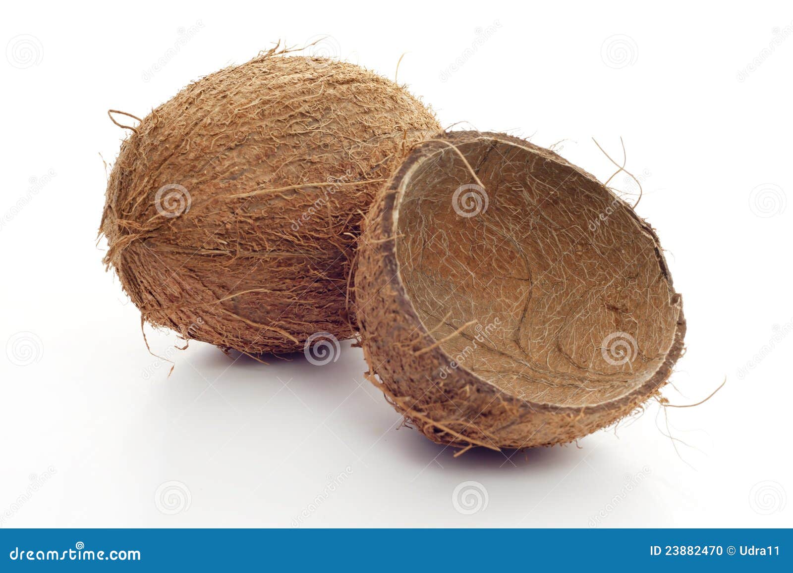 Coconut and empty shell stock photo. Image of coconut - 23882470