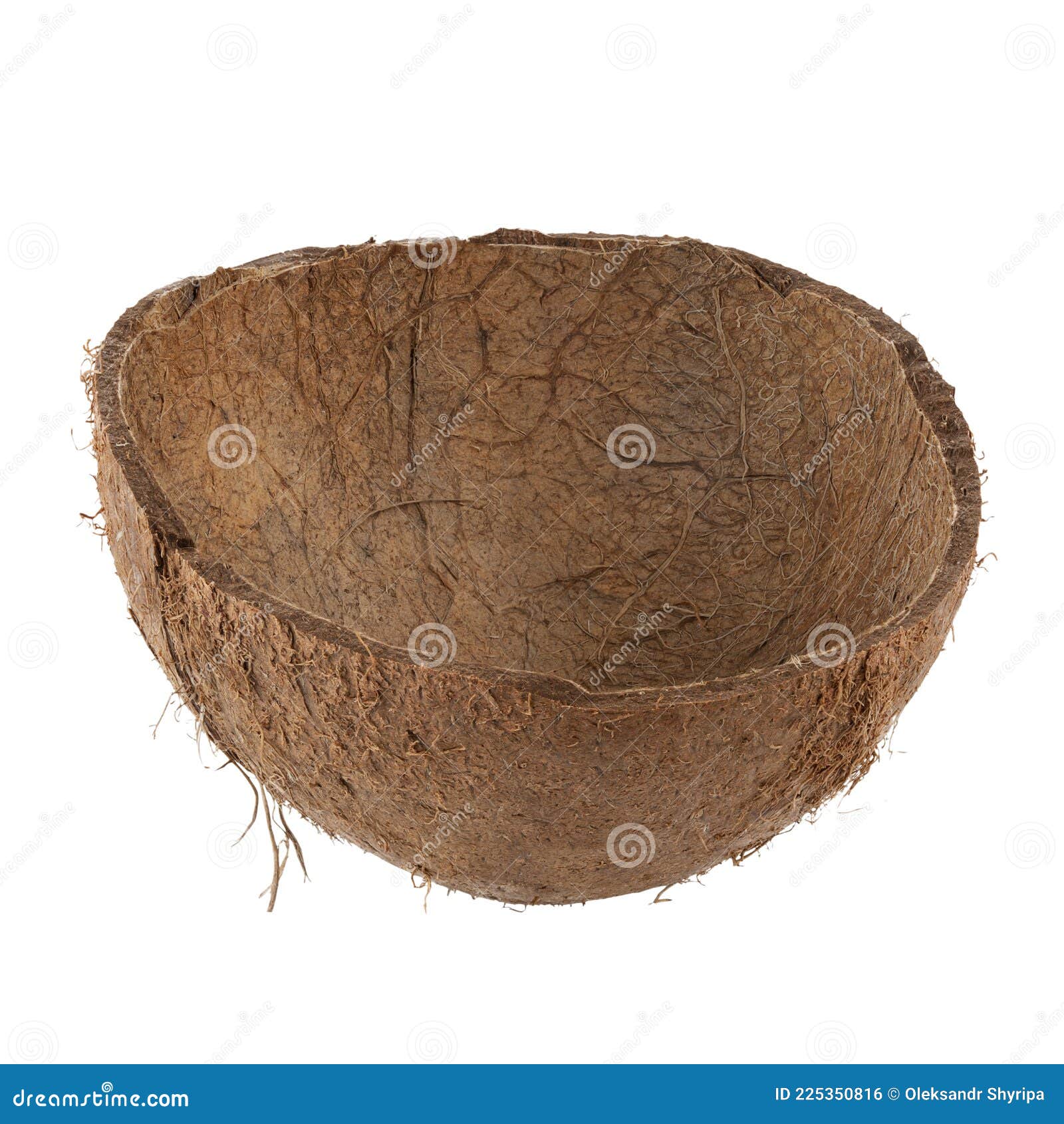 Coconut Empty Shell. File Contains Clipping Path Stock Photo - Image of ...