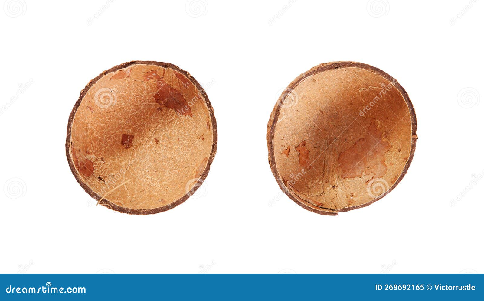 Coconut Empty Shell Top View Isolated on White Stock Image - Image of ...
