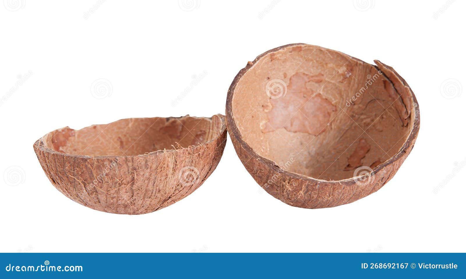 Coconut Empty Shell Top View Isolated on White Stock Image - Image of ...