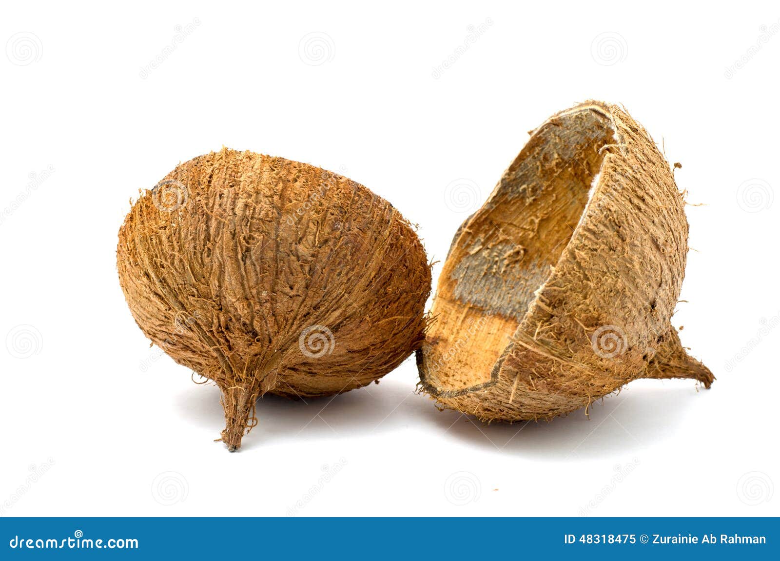 Coconut Empty Shell With Shadow Top View Isolated On White Stock Photo ...