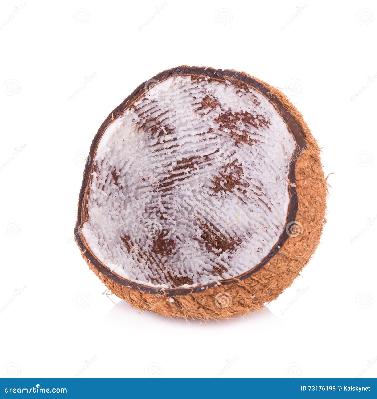 Coconut Empty Shell With Shadow Top View Isolated On White Stock Photo ...