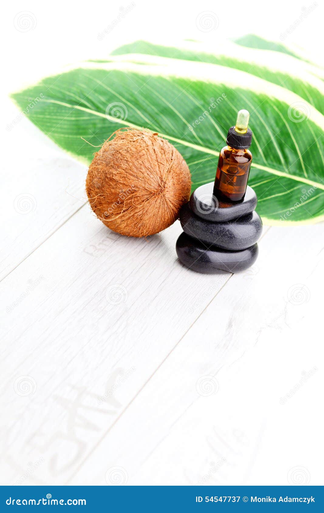 Coconut essential oil stock image. Image of essential - 54547737