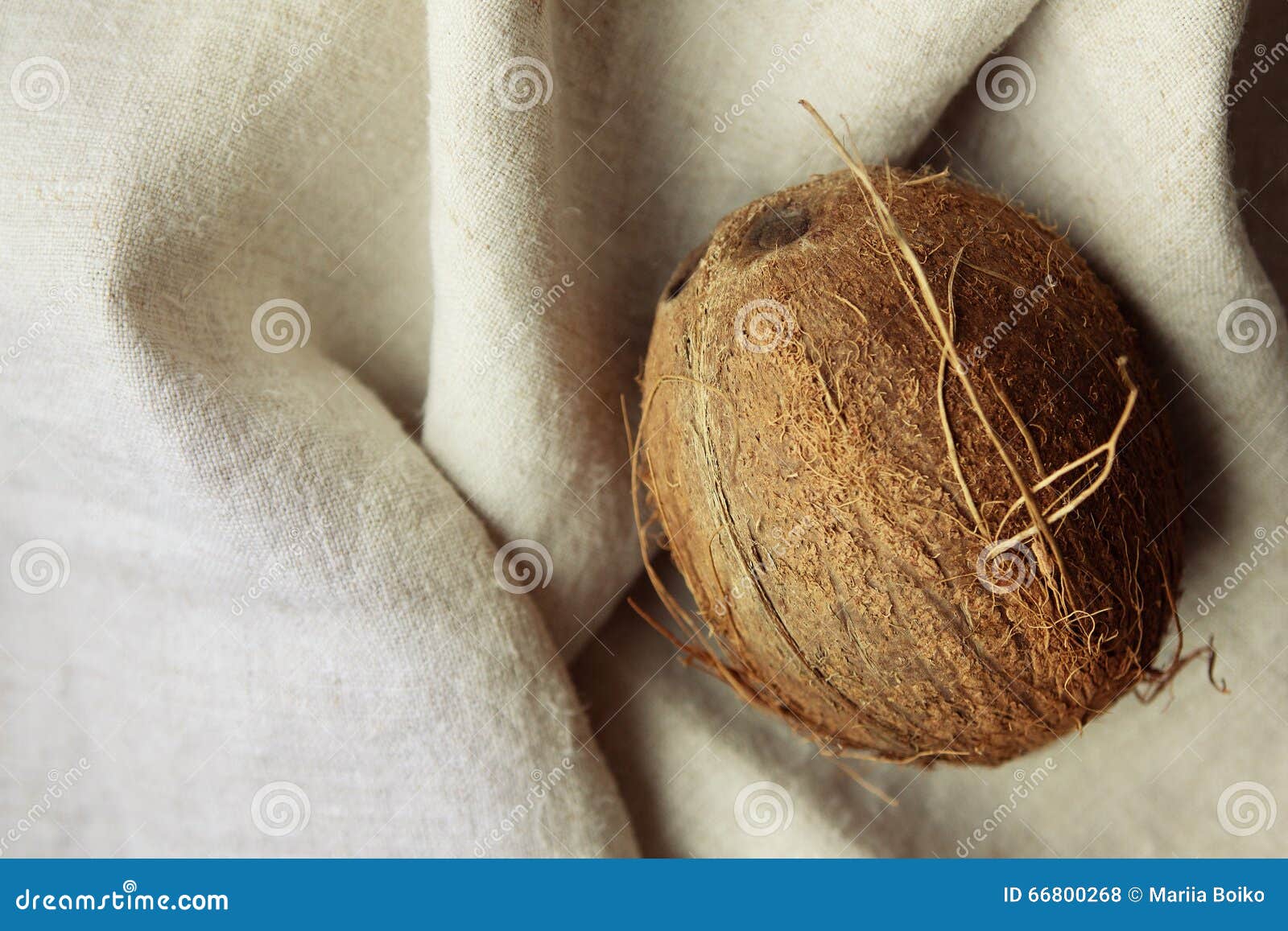 Coconut on the fabric stock photo. Image of coconuts - 66800268