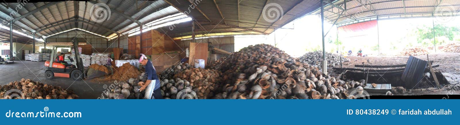 Coconut factory editorial stock image. Image of hardwork - 80438249