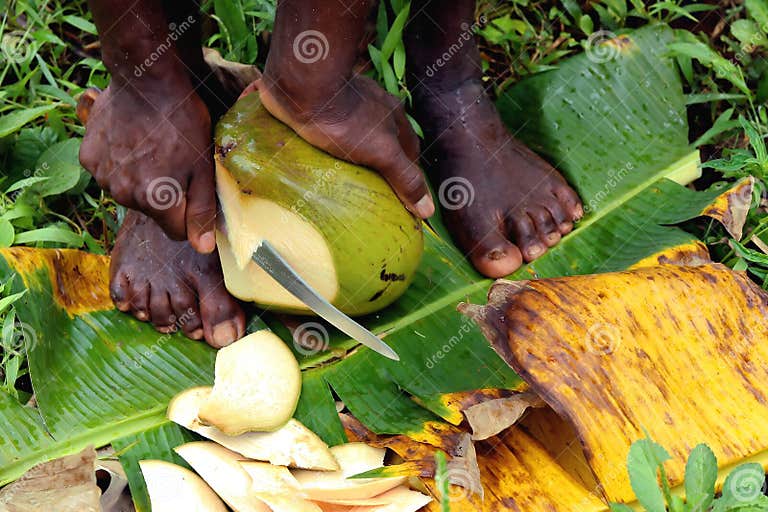 Coconut feet stock photo. Image of surviving, hard, exotic - 14028888