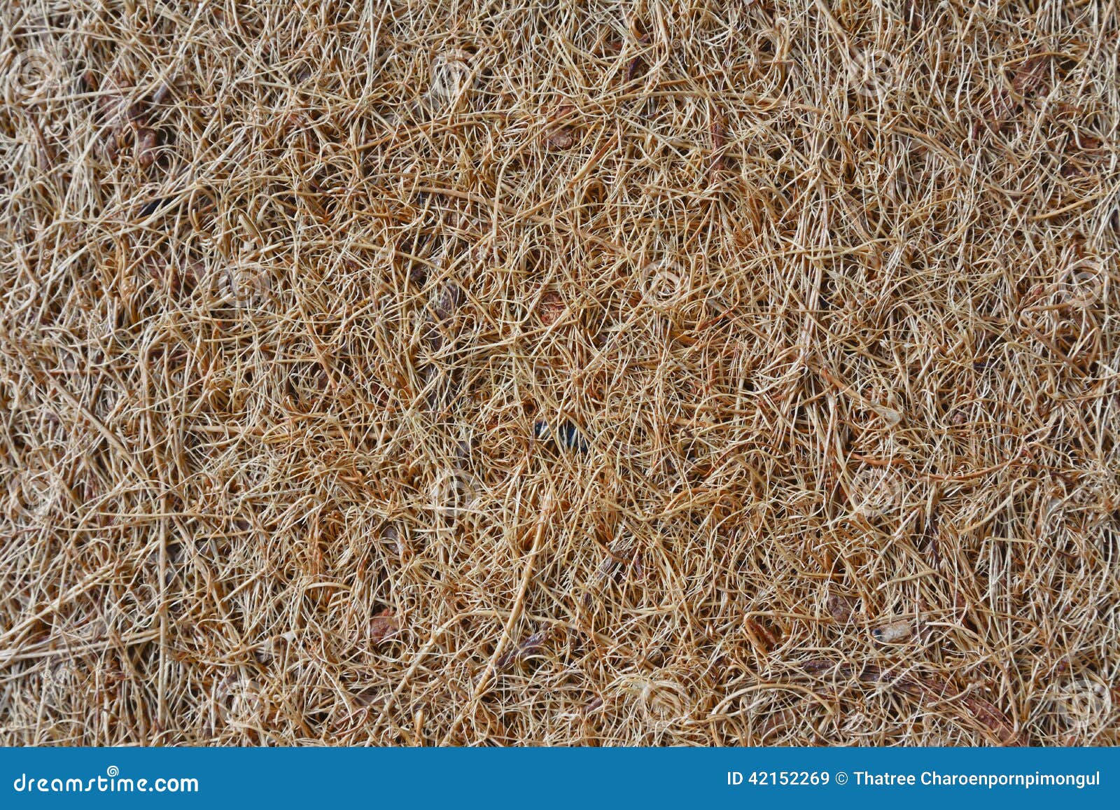 Coconut Fiber Background ; Suitable for Use As Background or Tex Stock ...