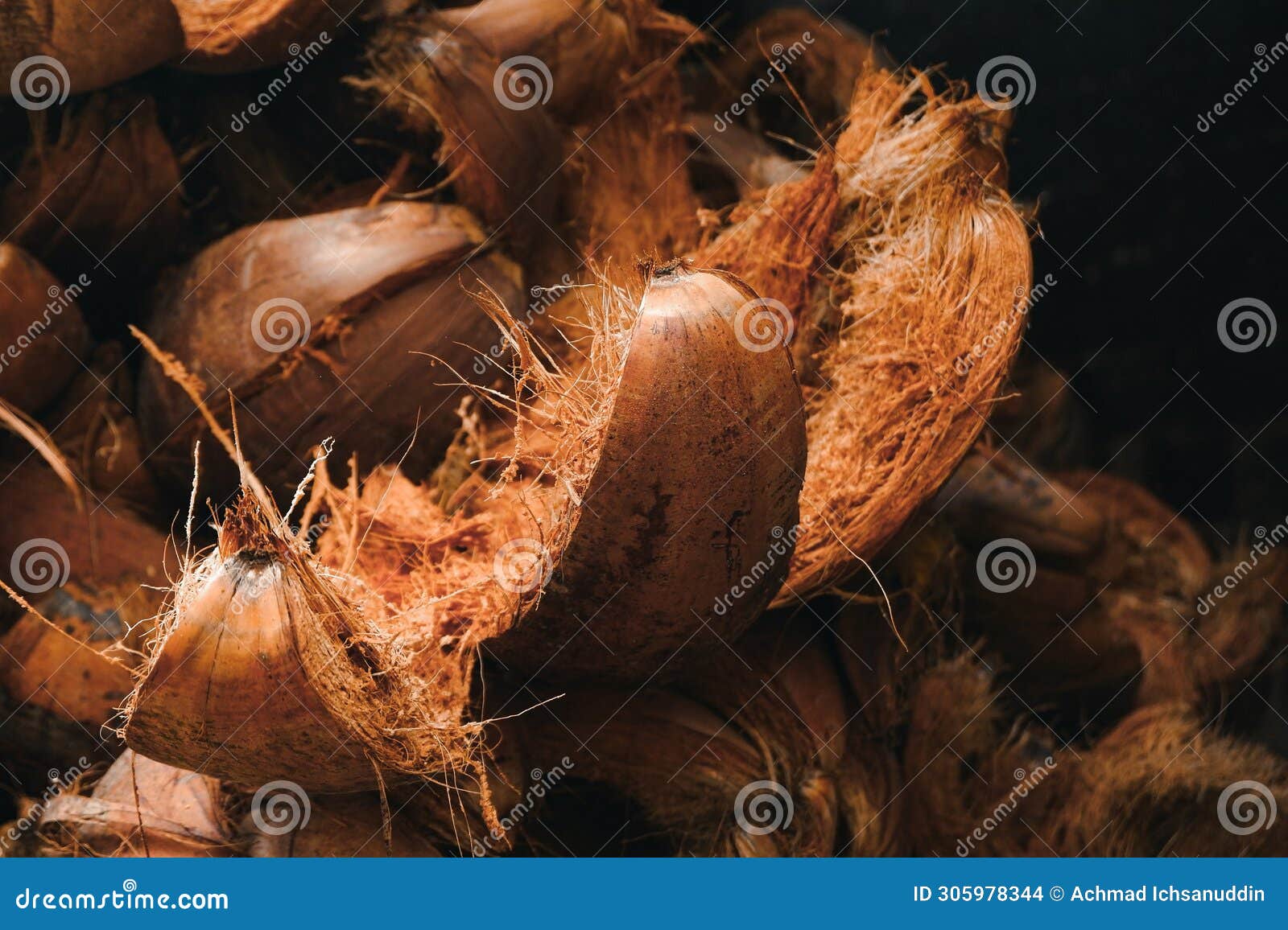 Coconut Fiber Can Be Used for Various Types of Crafts Stock Photo ...
