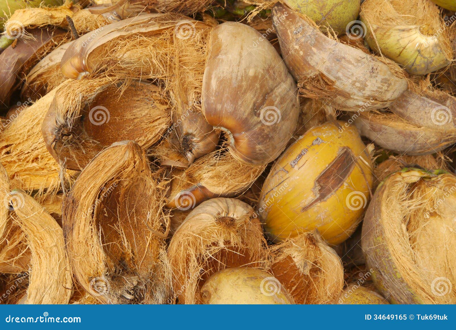 Coconut fiber stock image. Image of fiber, fruit, gourmet - 34649165