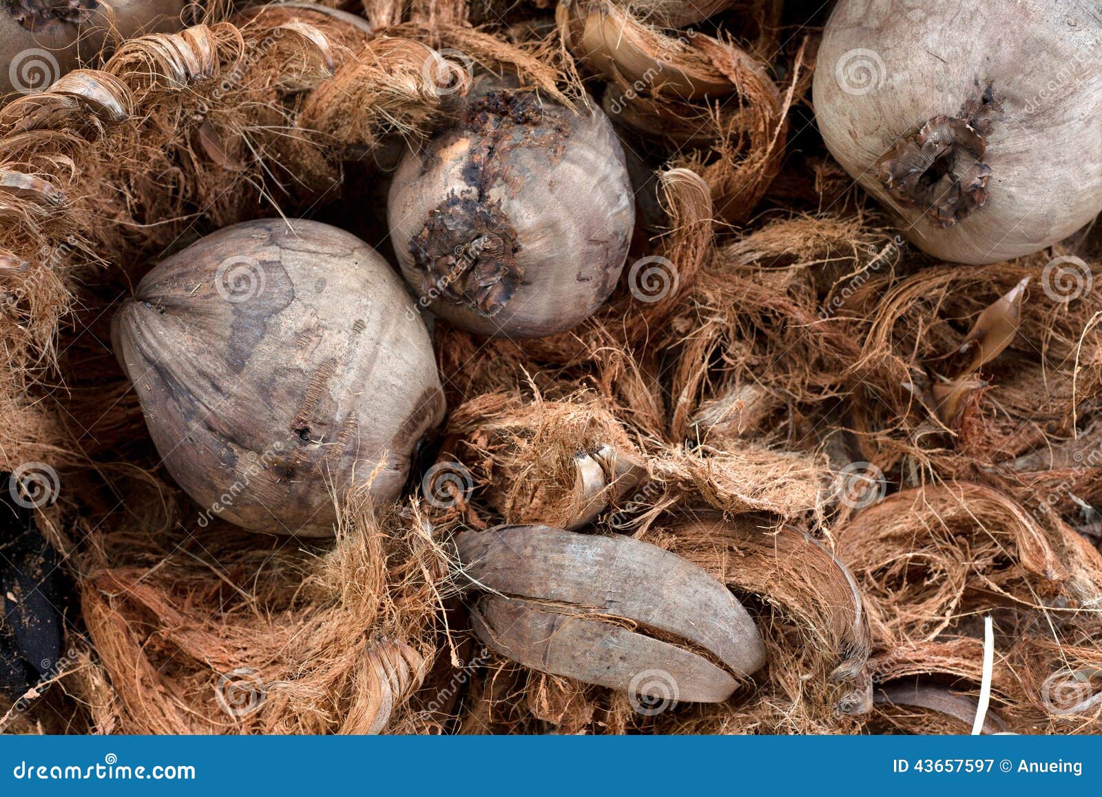 Coconut fiber stock image. Image of detail, abstract - 43657597