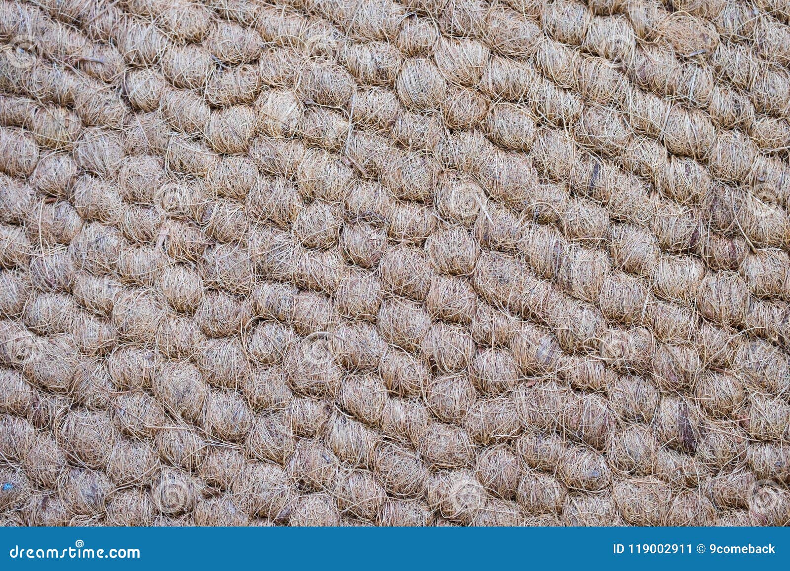 Coconut fiber stock image. Image of plant, coco, health - 119002911