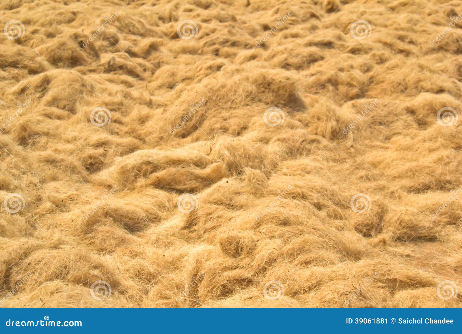 Coconut fiber stock image. Image of coir, coco, lasso - 39061881