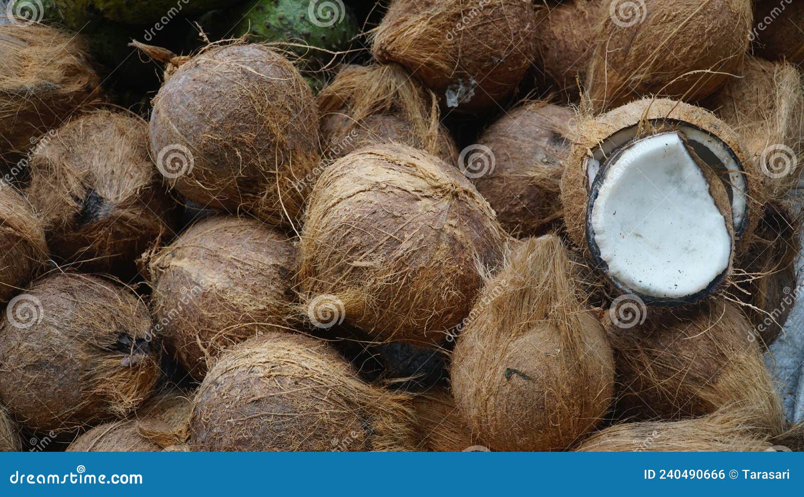Coconut, with a Fibrous Brown Shell Stock Photo - Image of surface ...
