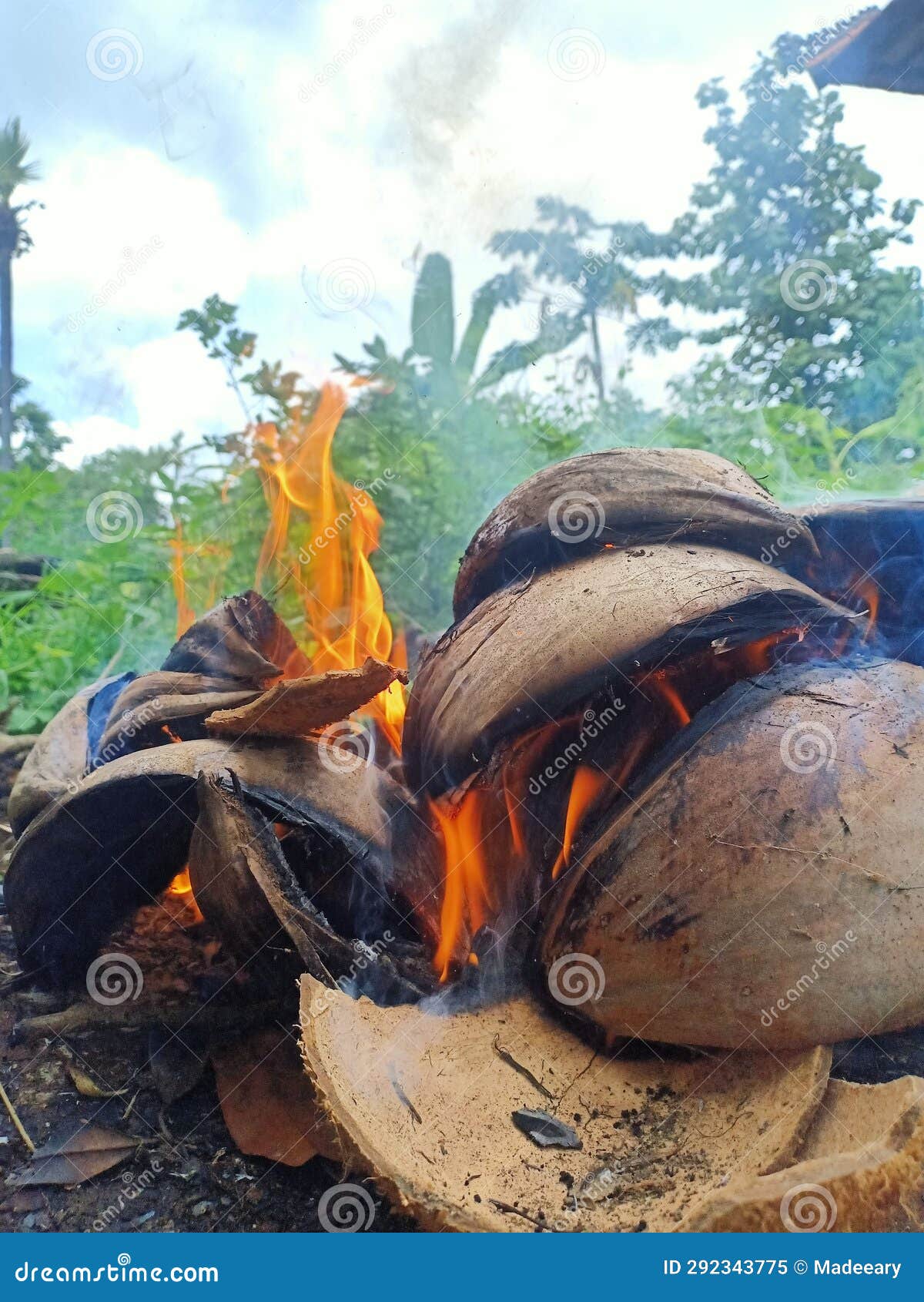 Coconut and fire stock image. Image of fire, coconut - 292343775