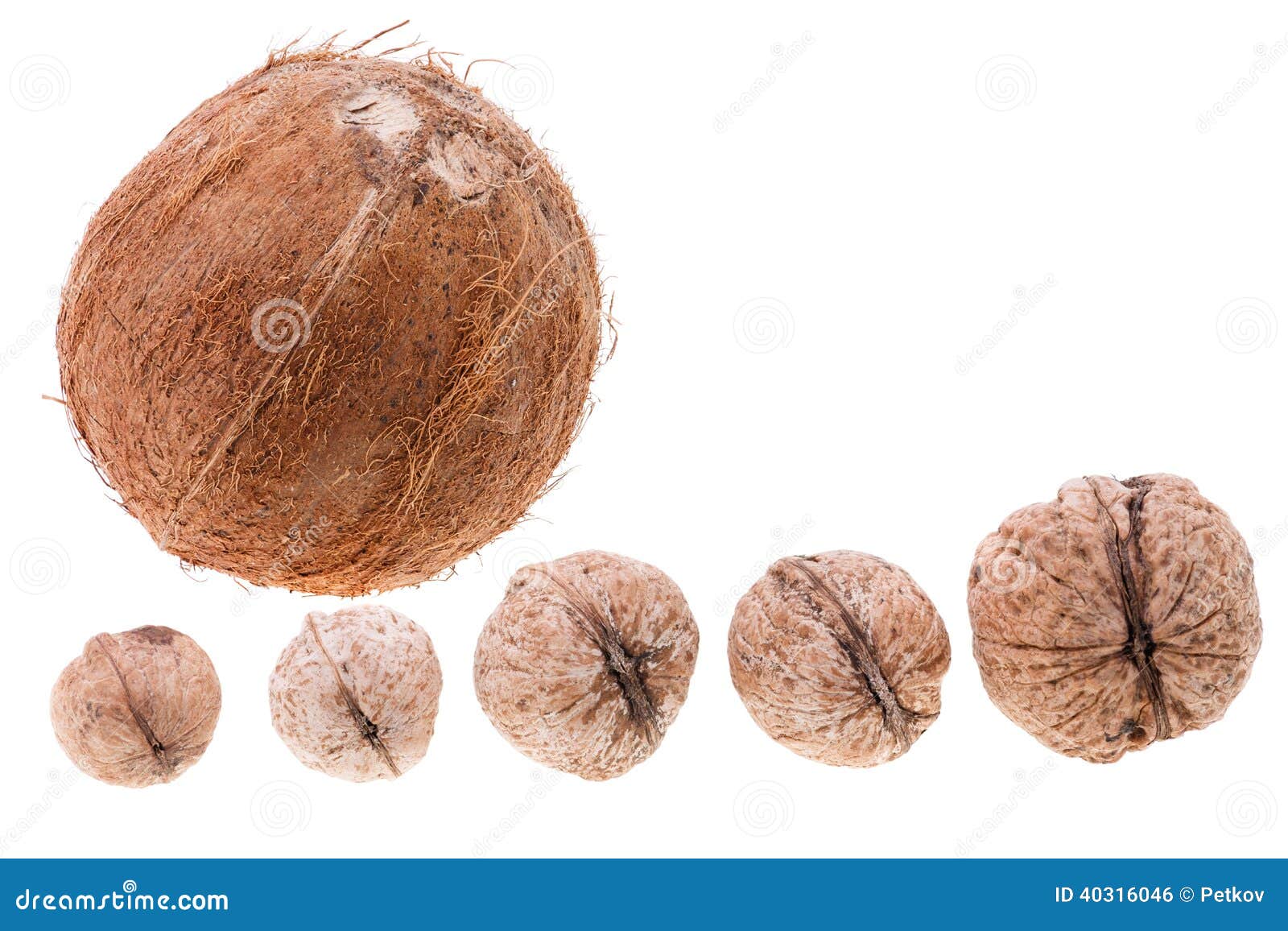 Coconut and Five Walnuts, Isolated on White Stock Photo - Image of ...