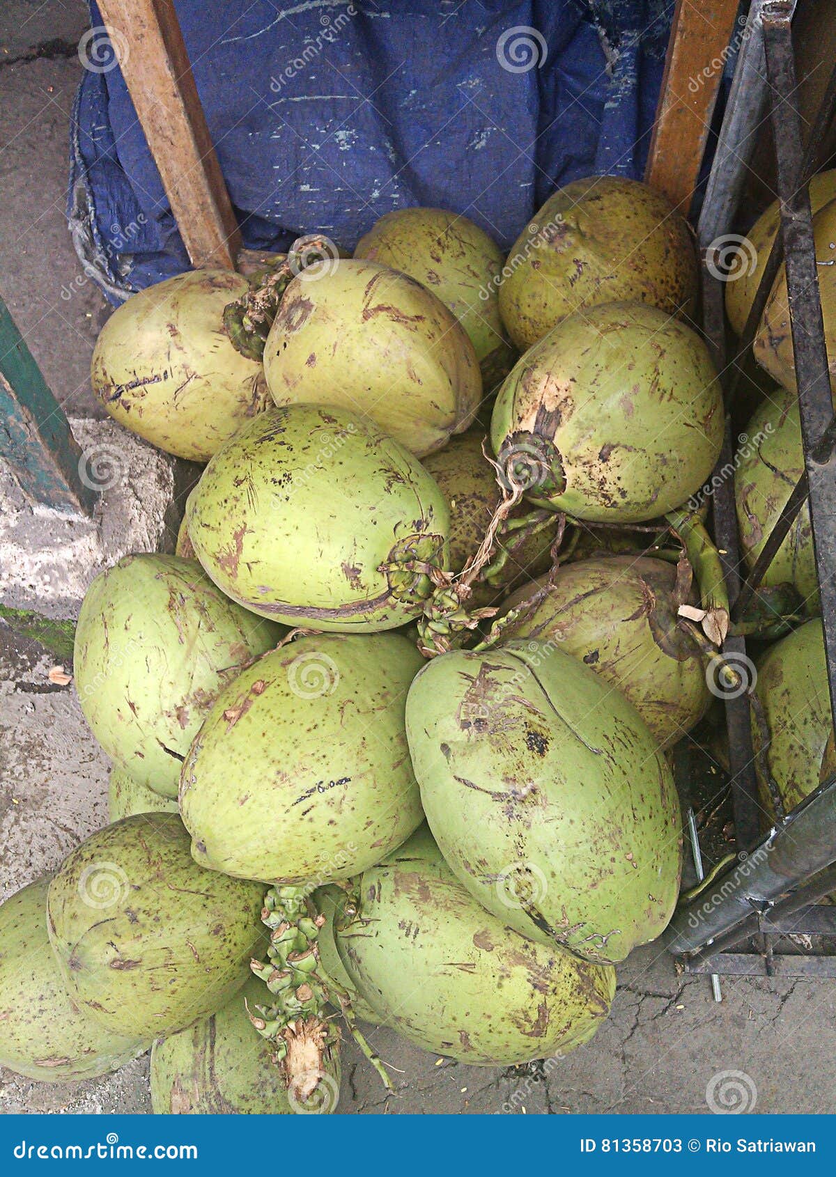 Coconut of food stock image. Image of fresh, exotic, freshness - 81358703
