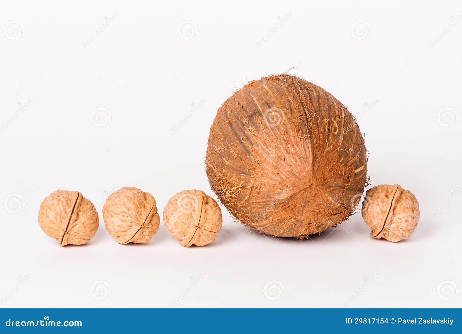 Coconut and four walnuts stock photo. Image of edible - 29817154