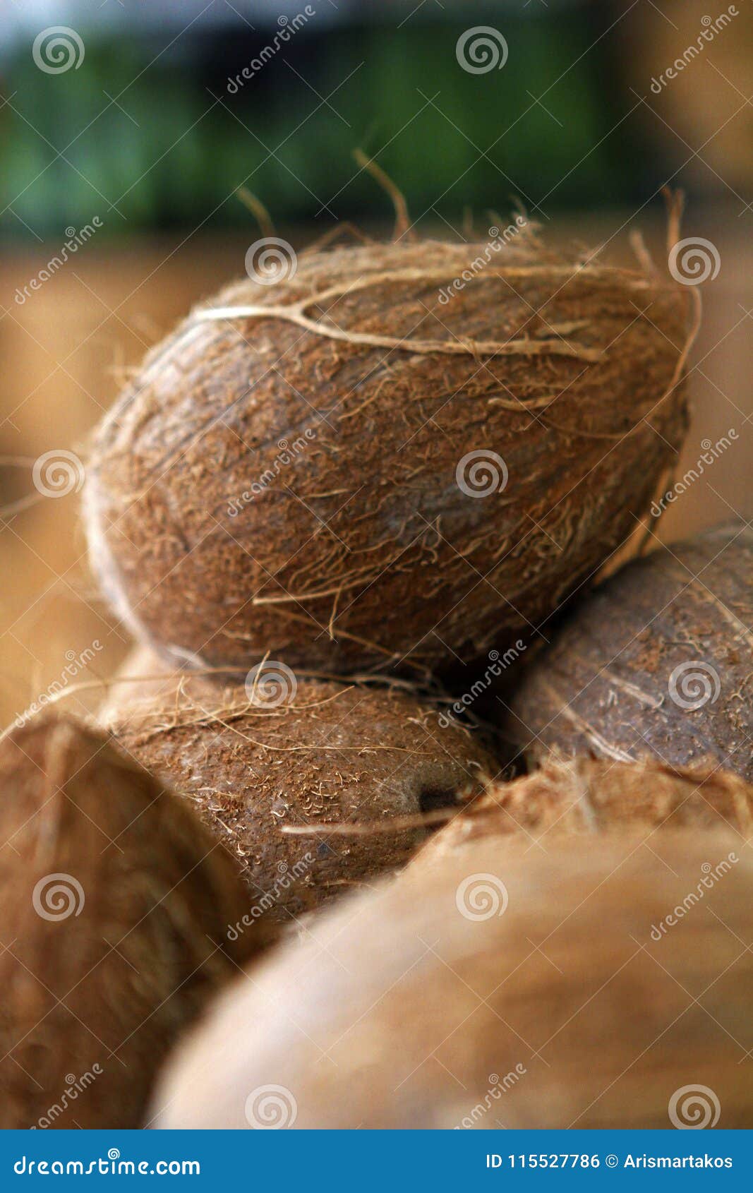 Coconut stock photo. Image of freshness, close, fashioned - 115527786