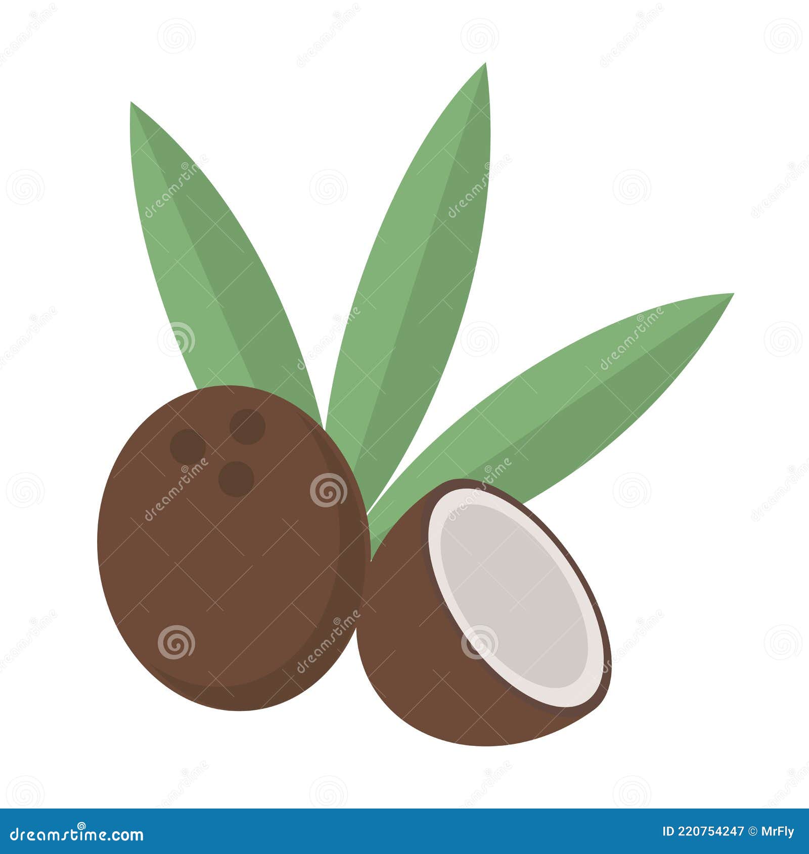 Coconut, Fruit, Animated Vector Illustration Stock Vector ...