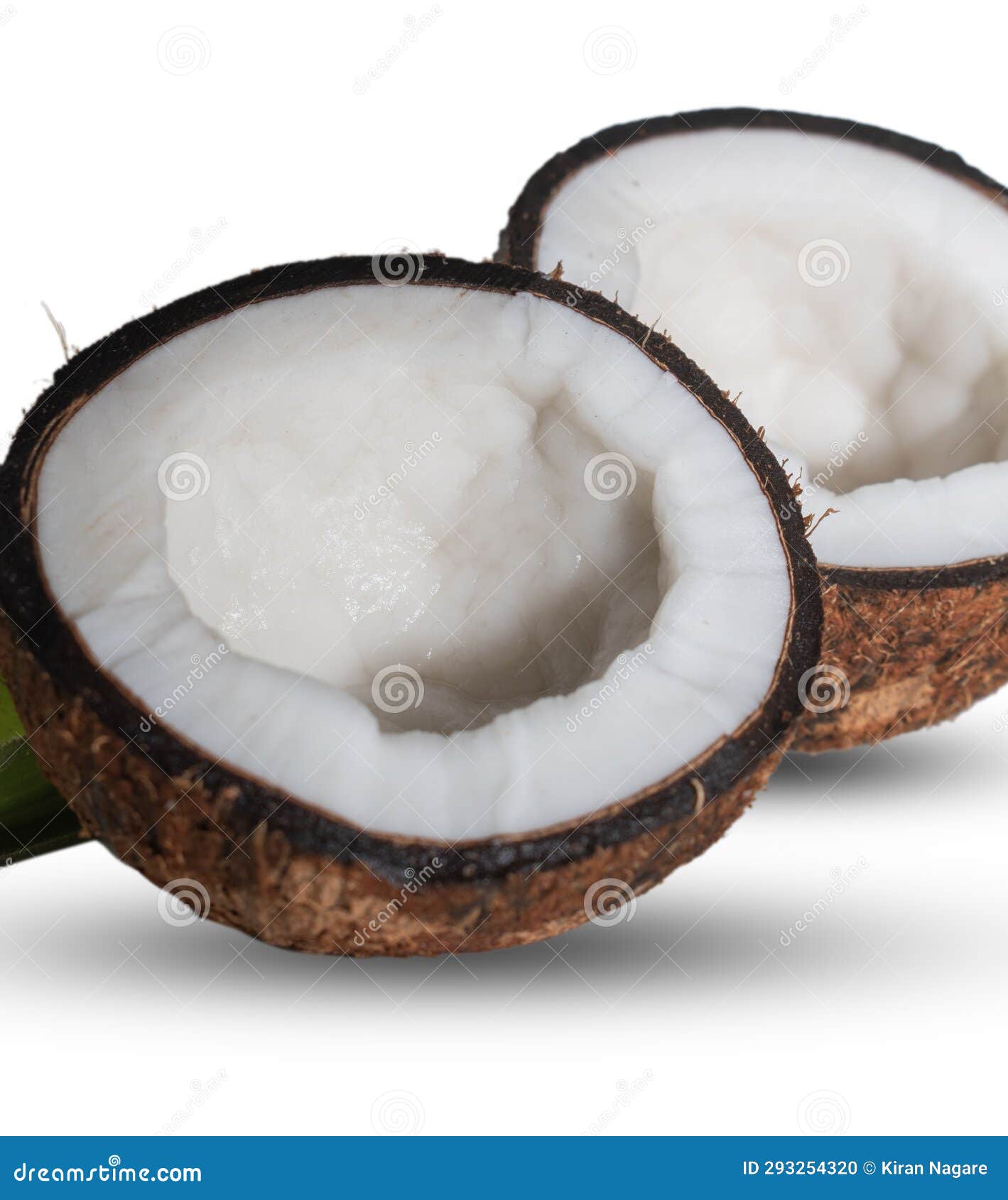 Coconut Fruit with Cut in Half Isolated on White Background Stock Photo ...