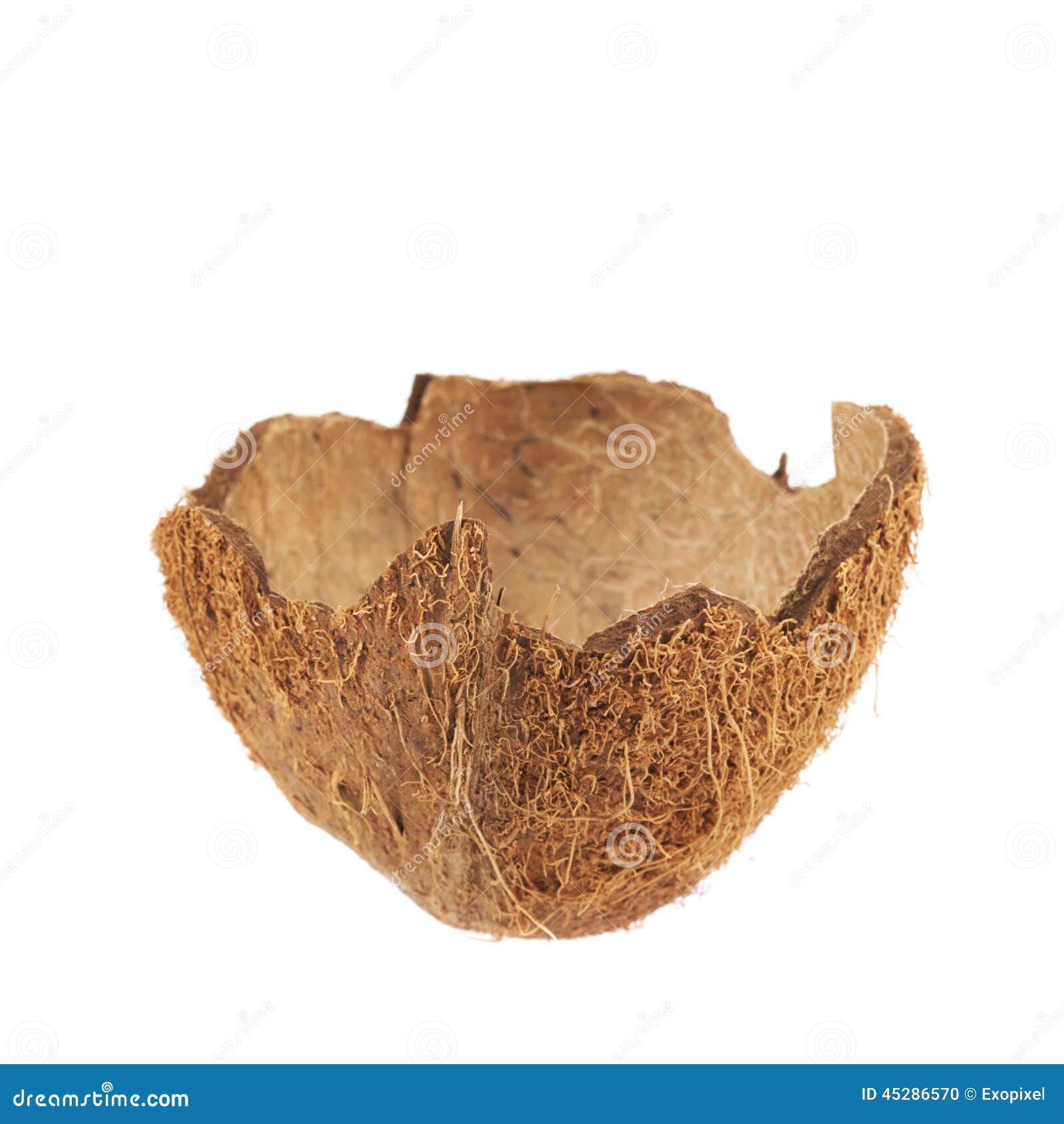 Coconut Fruit Shell Cut in Half Stock Photo - Image of break, gourmet ...