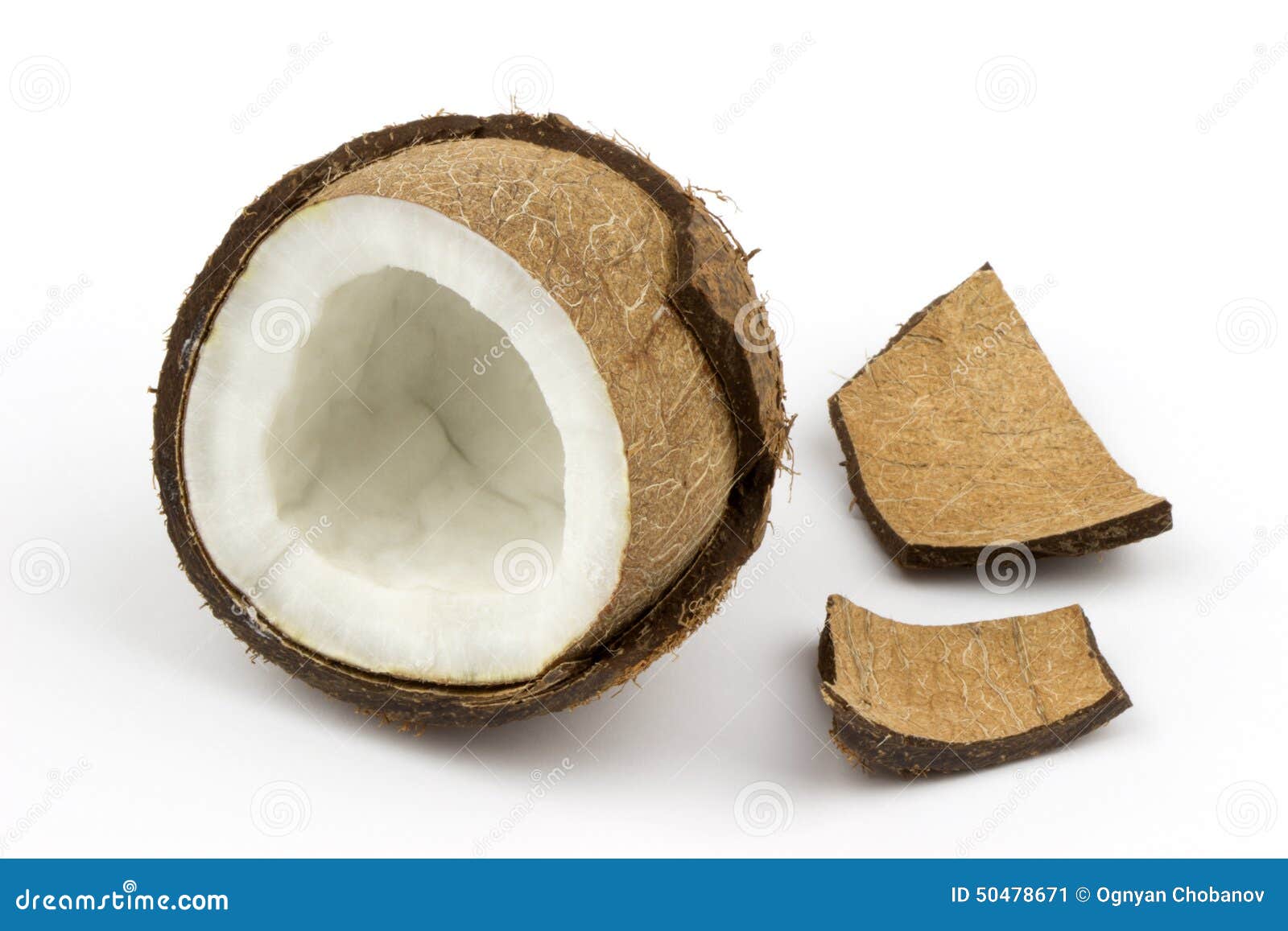 Coconut Fruit Shell Cut in Half Stock Image - Image of hairy, circle ...