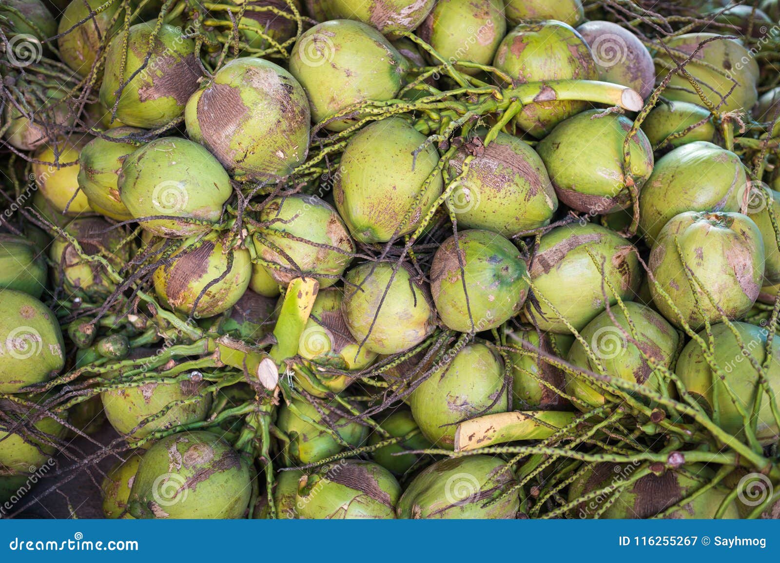 Coconut Fruit Stack Closeup Stock Image - Image of health, delicious ...