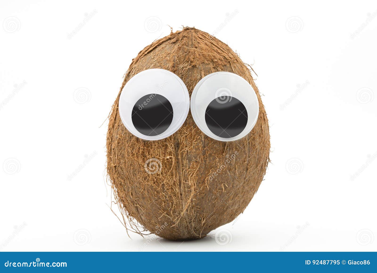 Coconut with Googly Eyes on White Background Stock Image - Image of ...
