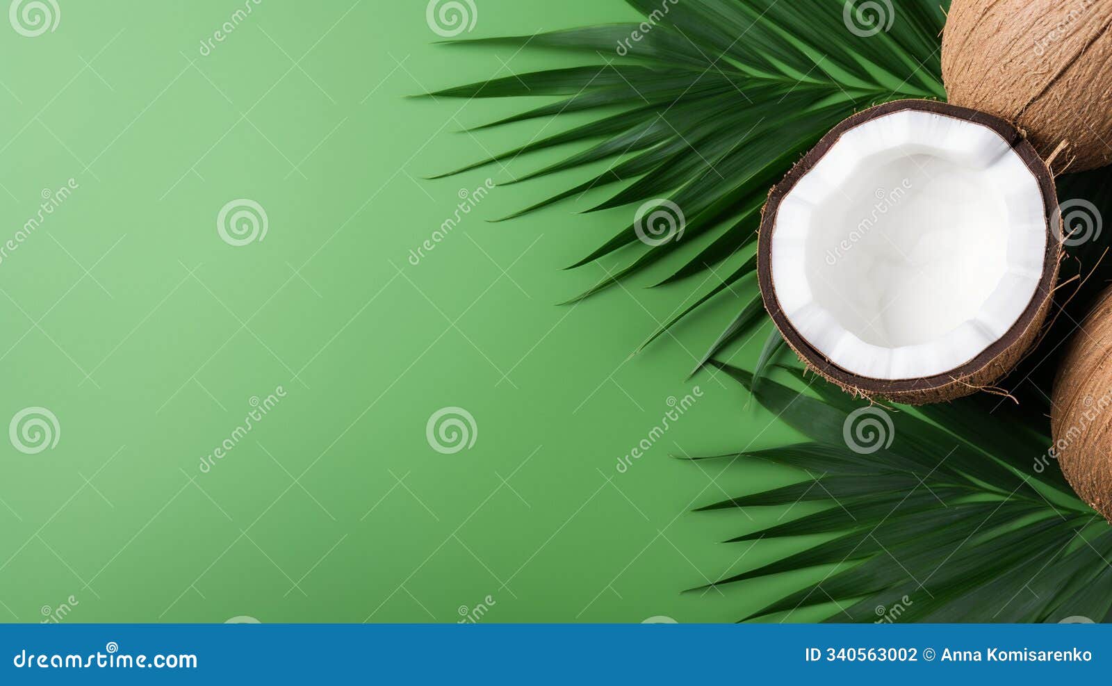 Coconut and Greenery on a Green Background Stock Photo - Image of ...