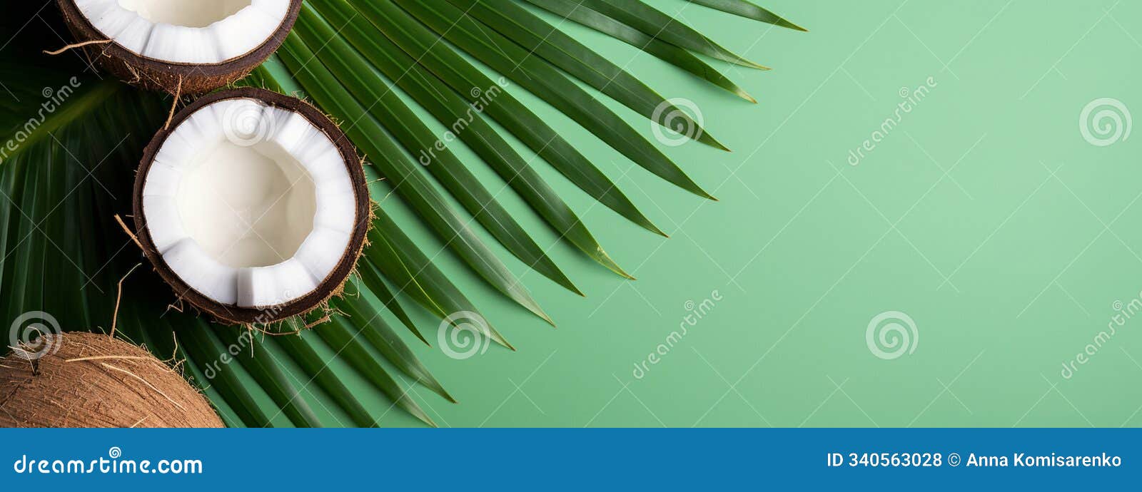 Coconut and Greenery on a Green Background Stock Photo - Image of fresh ...