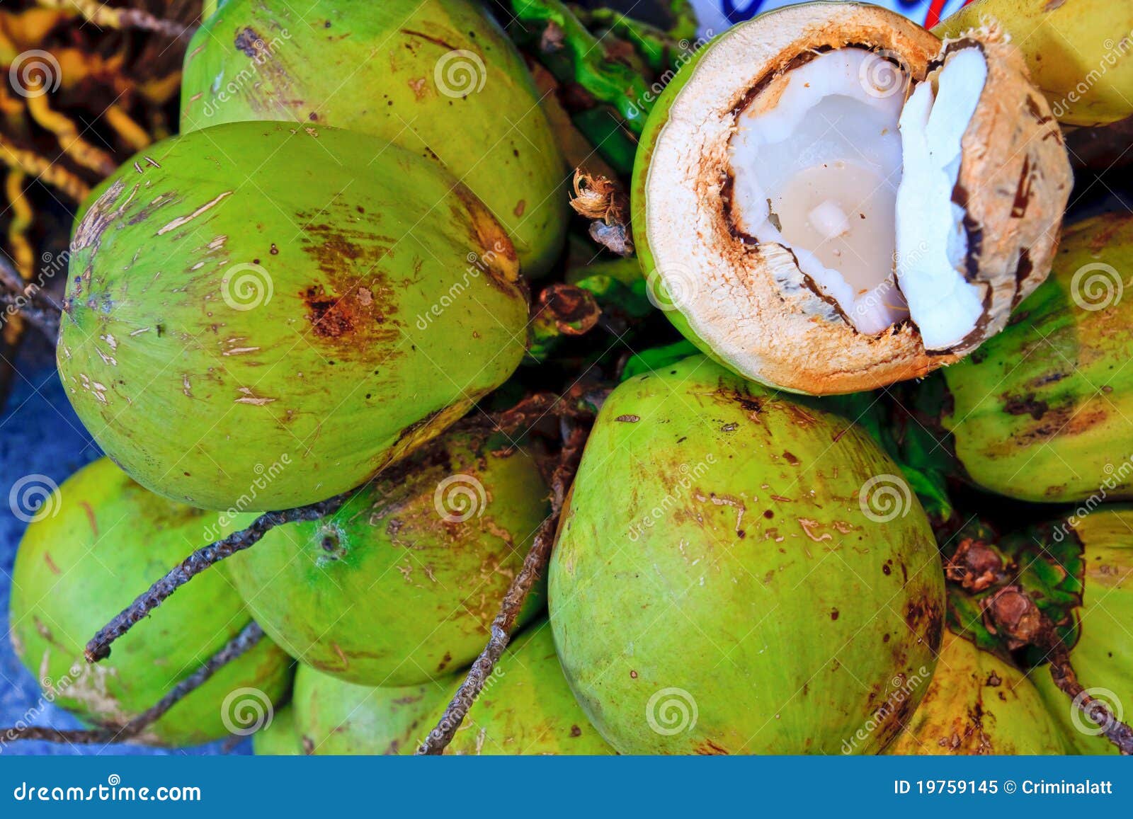 Coconut in group stock image. Image of plant, healthy - 19759145