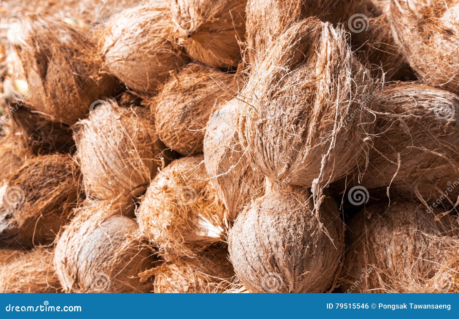 Coconut Group Raw Material for Make Food and Drink, Topical Fruit Stock ...