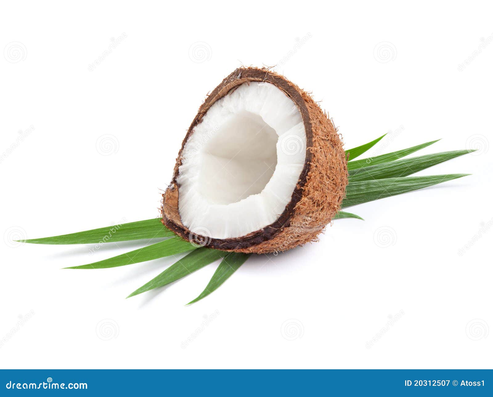 Coconut half stock image. Image of palm, isolated, break - 20312507