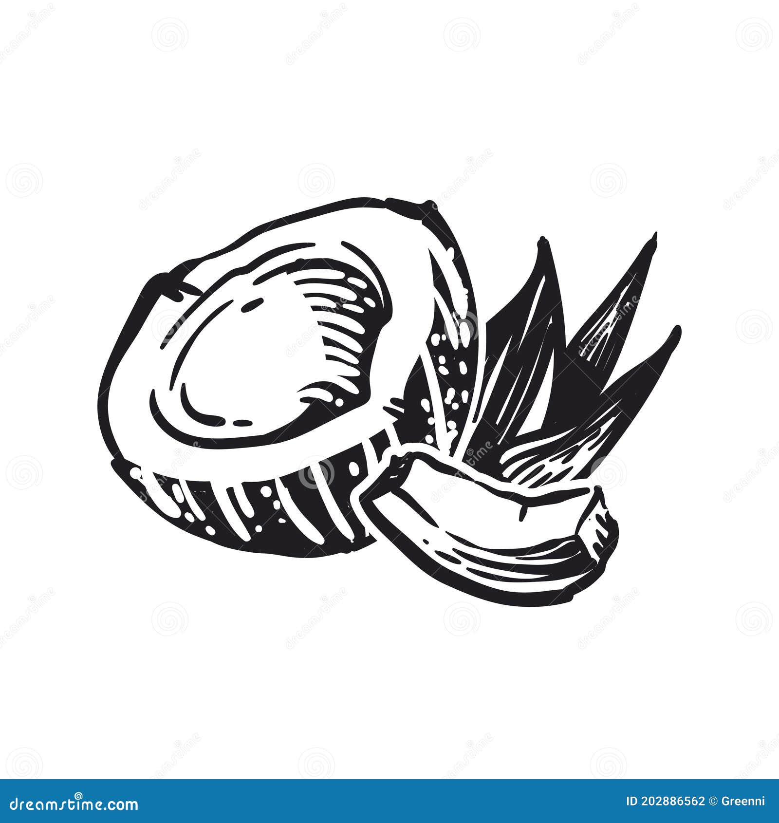 Coconut Half And Coco Segment. Hand Drawn Style Vector Sketch. Black ...