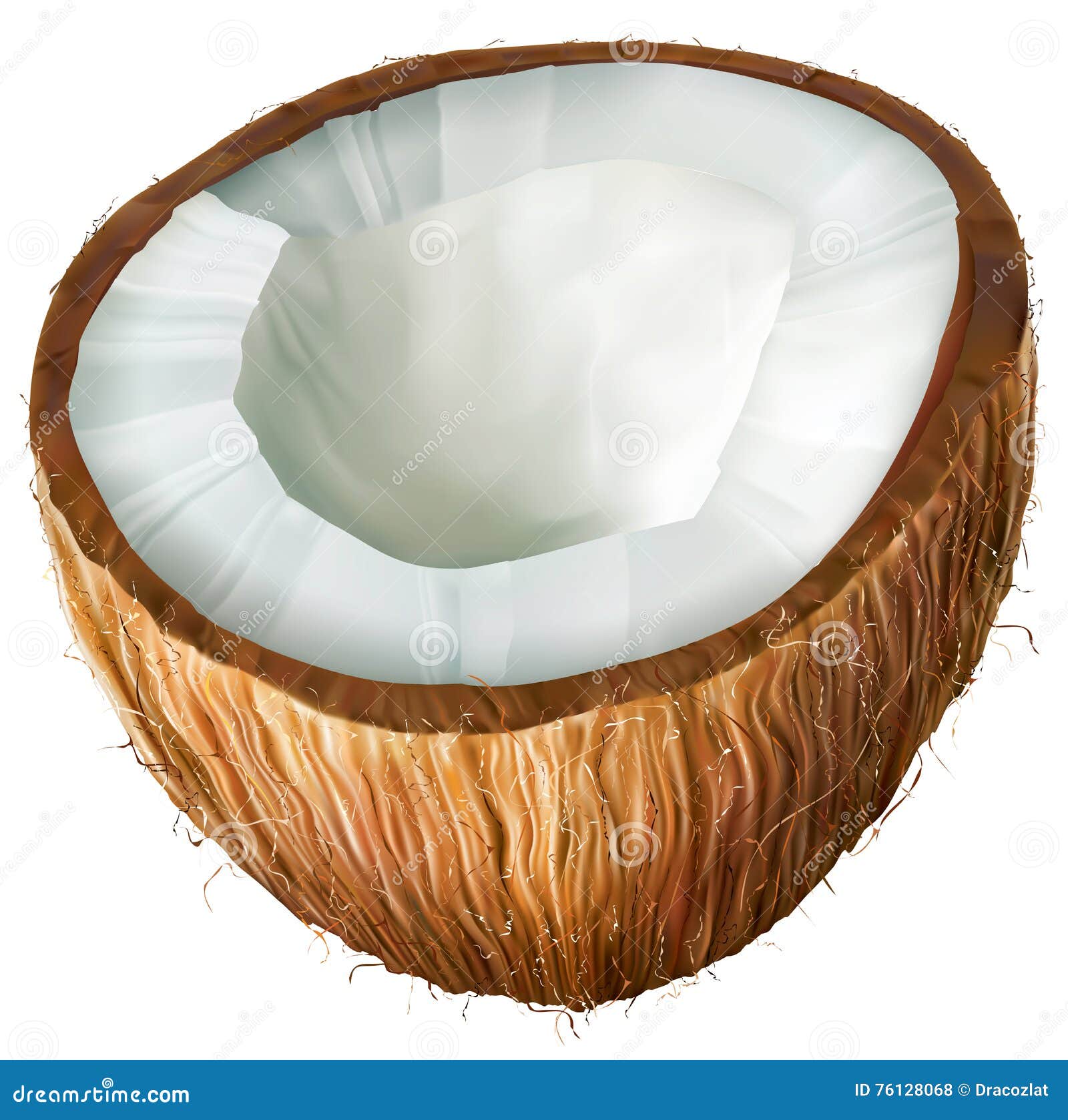 Coconut Half And Coco Segment. Hand Drawn Style Vector Sketch. Black ...