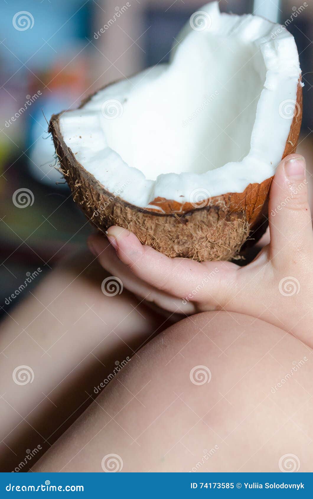 Coconut in the hand stock image. Image of beautiful, organic - 74173585