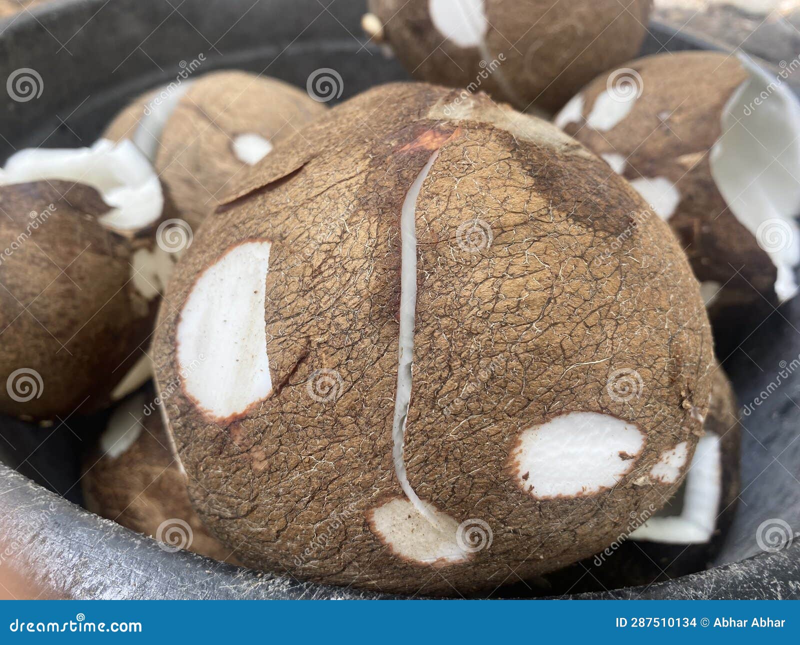 Coconut that Has Been Peeled To Take Coconut Milk Stock Photo - Image ...