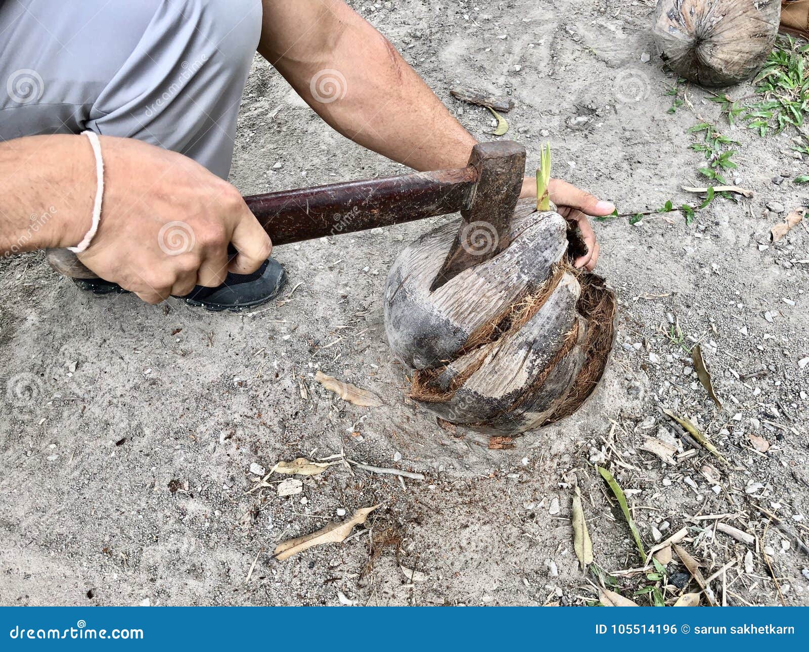 Man Use Axe To Uncover Coconut Stock Photo - Image of uncover, coconut ...
