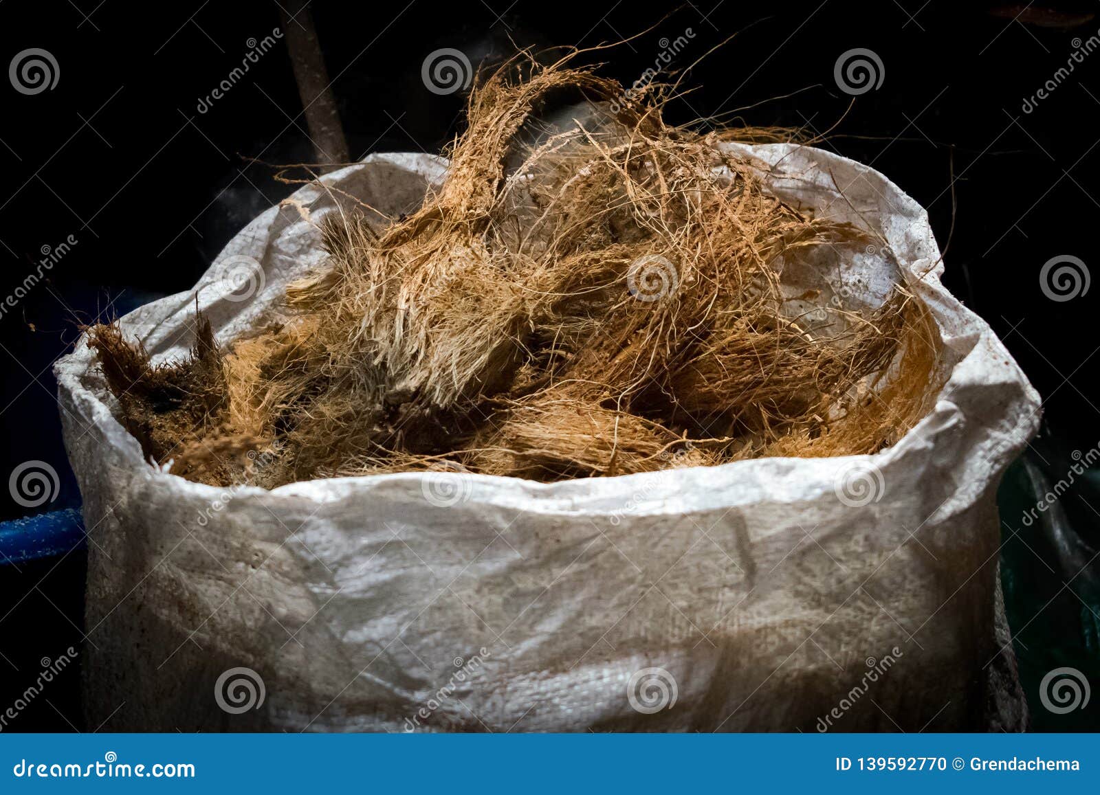 Coconut Husk Placed on a White Sack Stock Photo - Image of group ...