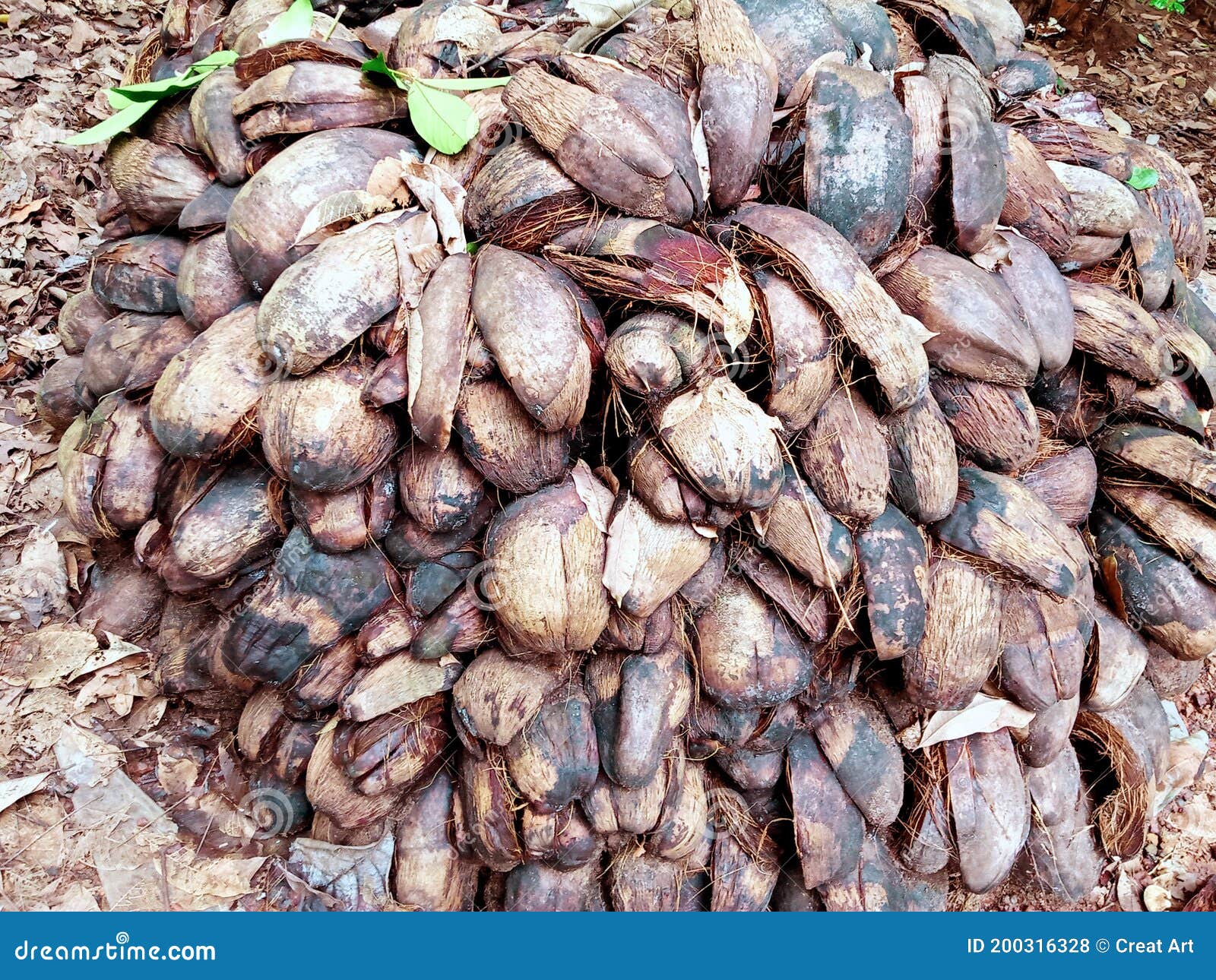 Chakiri Stock Photos - Free & Royalty-Free Stock Photos from Dreamstime