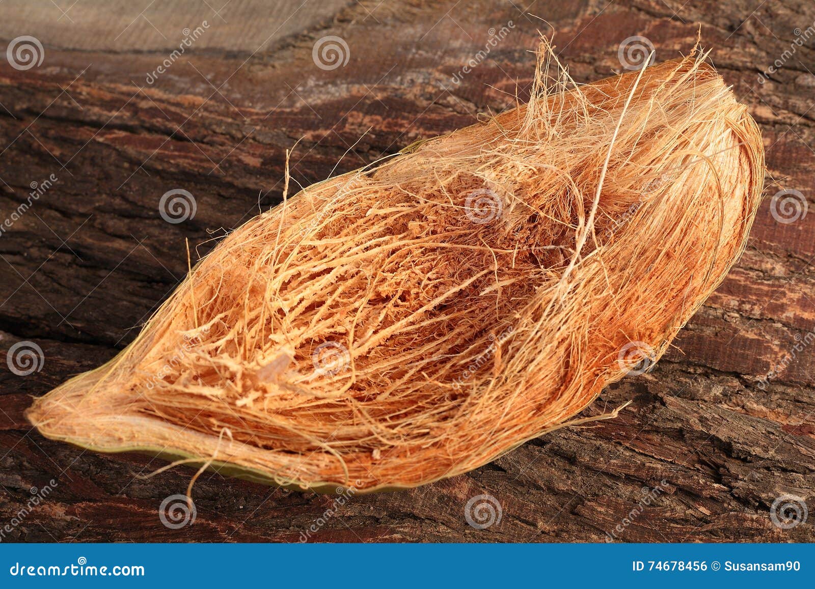 Coconut Husk stock photo. Image of agriculture, fiber - 74678456