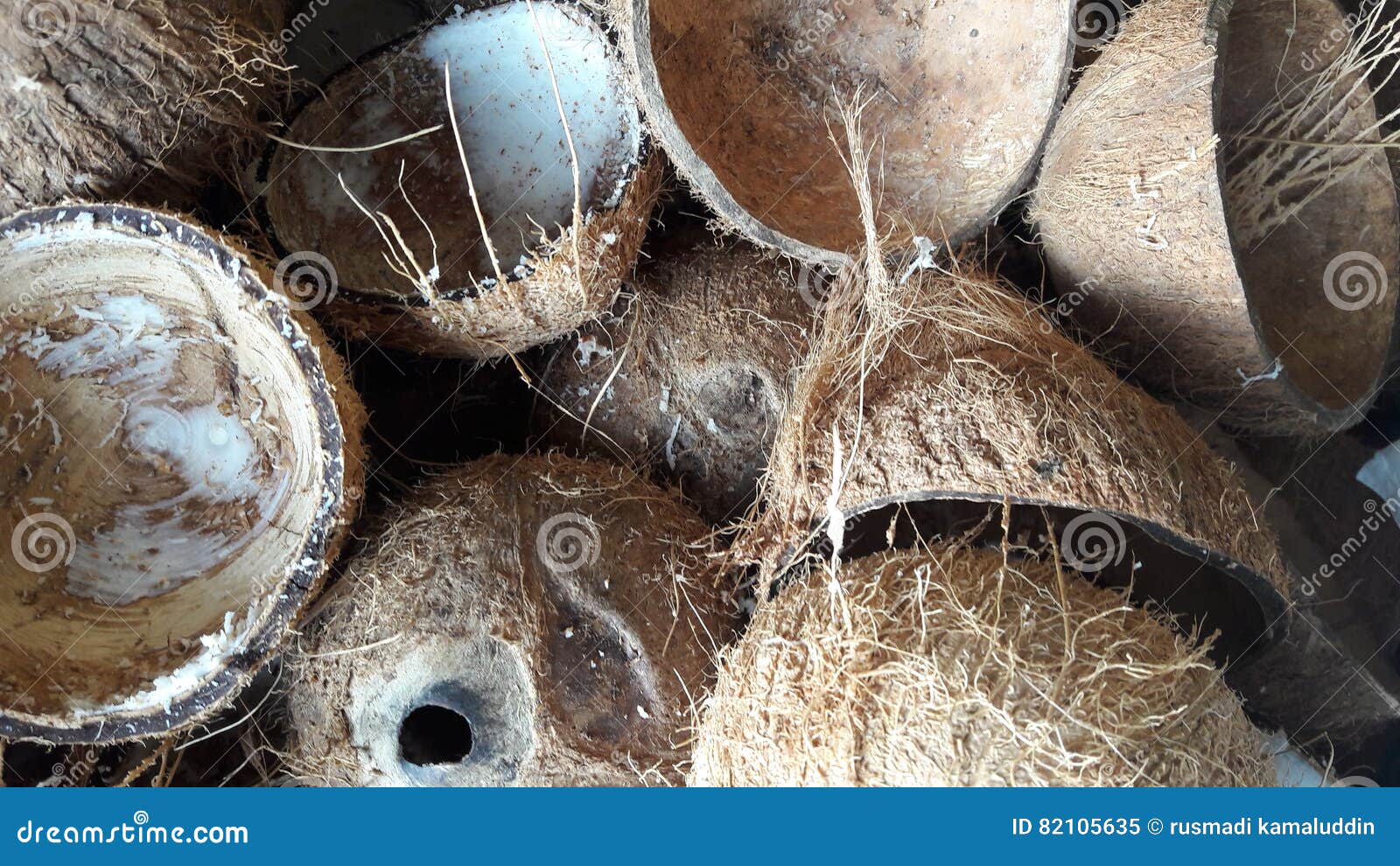 Coconut husk stock image. Image of food, fresh, husk - 82105635