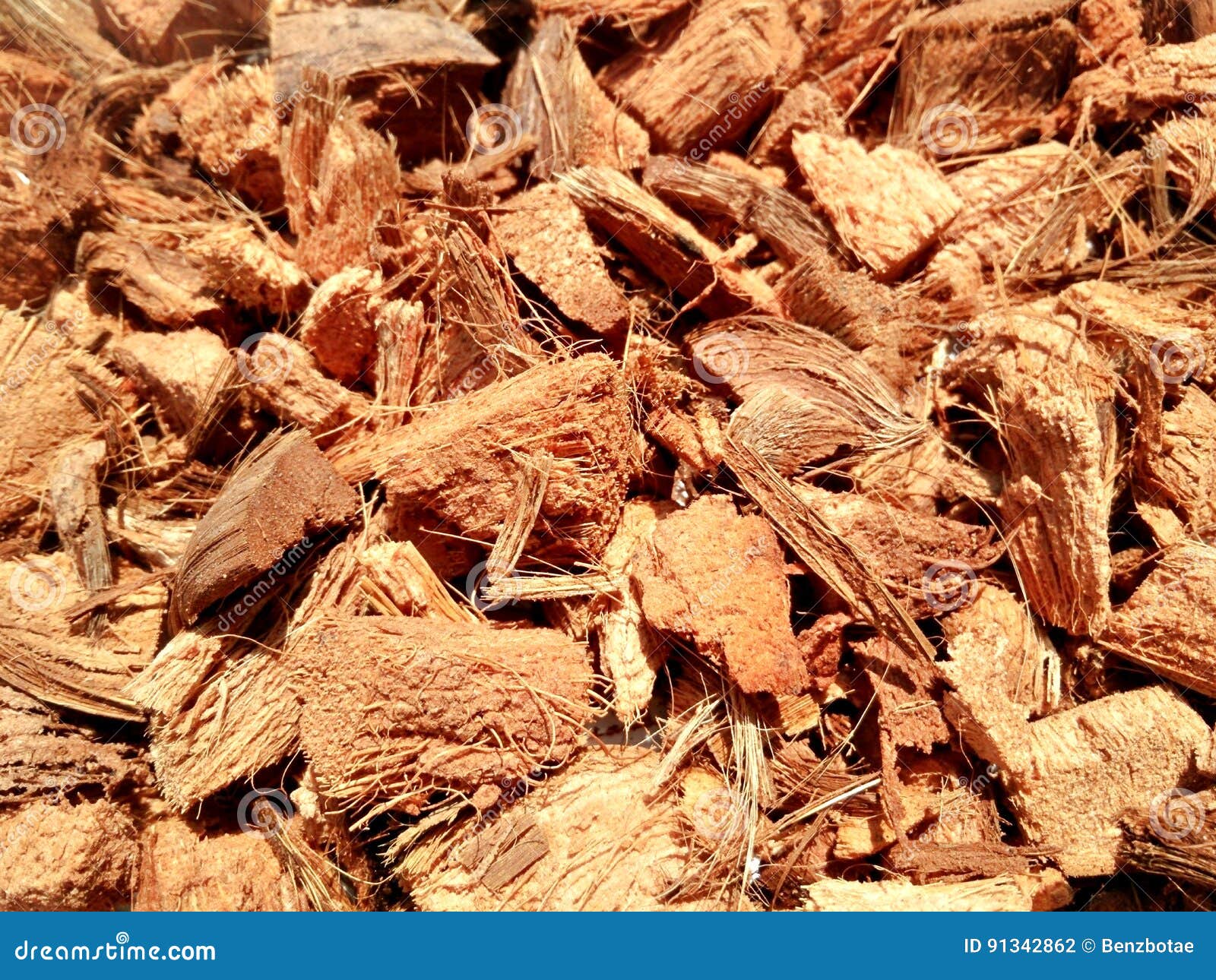 Coconut husk texture stock photo. Image of pile, ground - 91342862