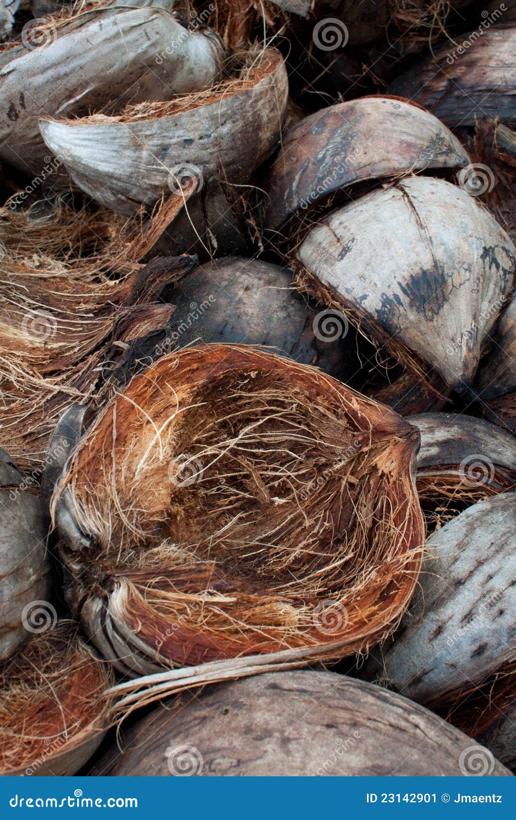 Coconut Husks stock image. Image of coconut, asia, fuel - 23142901