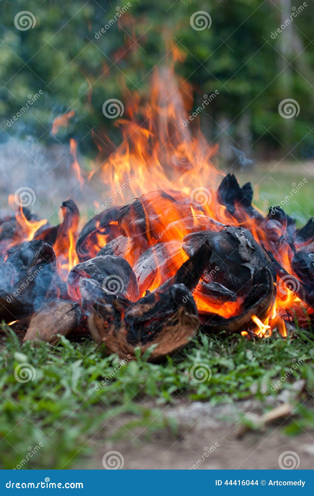 Coconut husks with fire stock photo. Image of palm, heat - 44416044