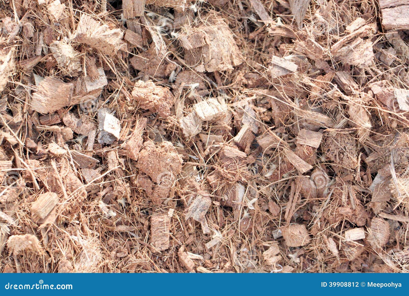 Coconut Husks Minced for Mix Soil in Cultivation. Stock Photo - Image ...