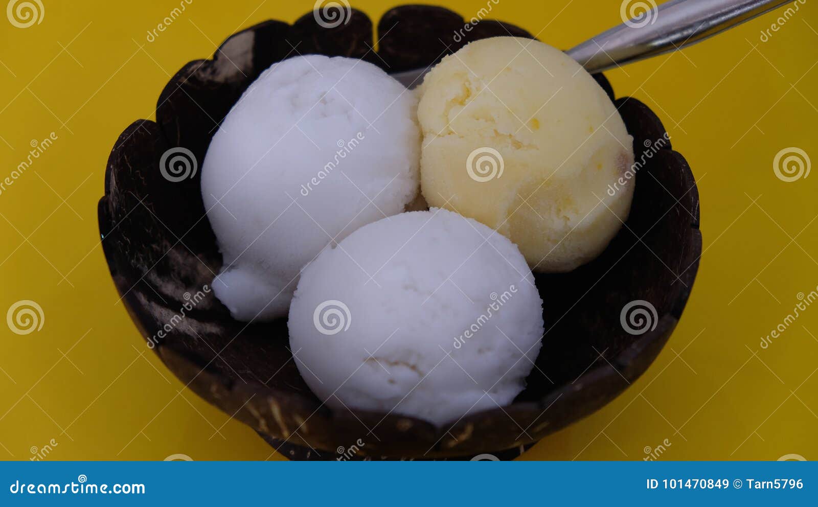 Coconut ice cream in cup stock image. Image of table - 101470849