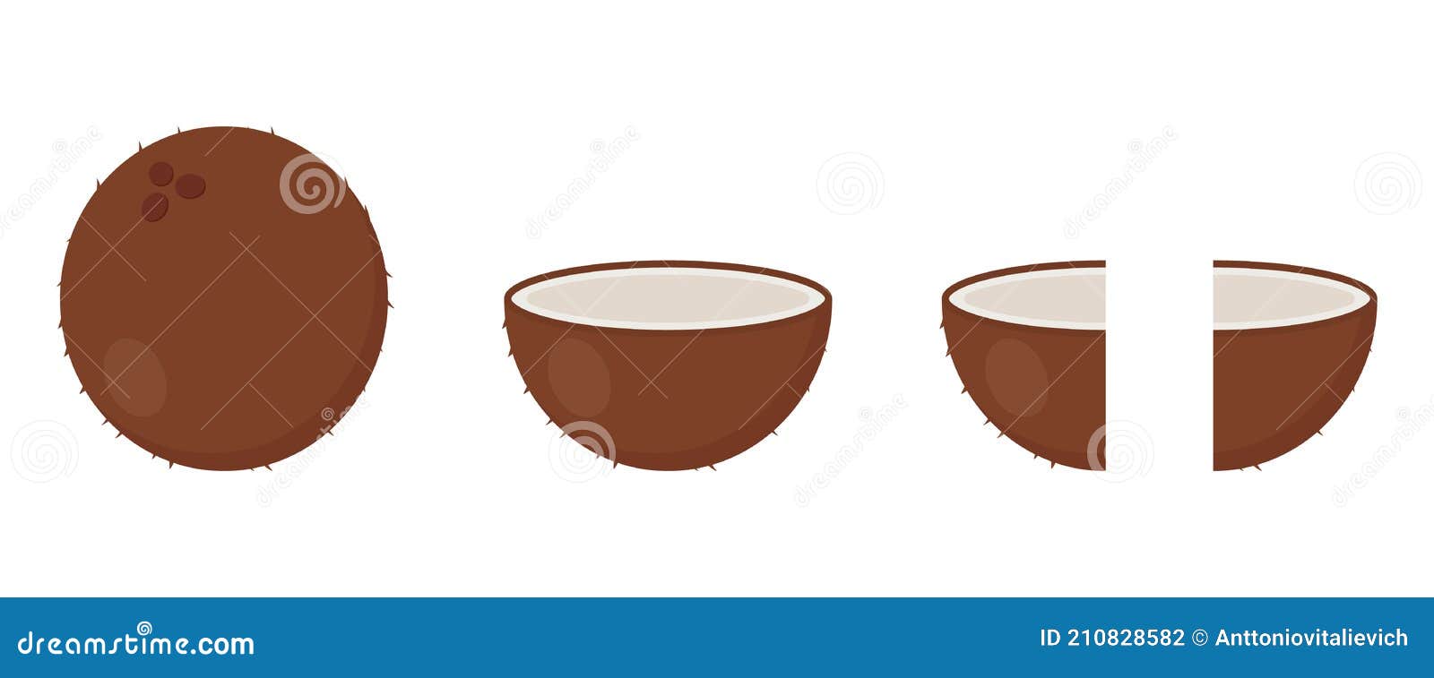 Coconut Icon in Cartoon Style. Whole, Half and Fourth Part of Coconut ...