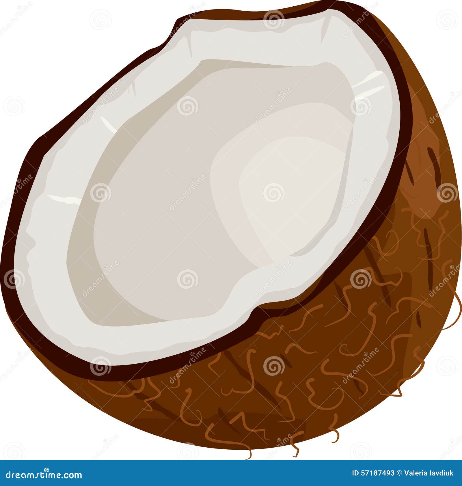 Coconut icon stock vector. Illustration of circle, fruits - 57187493